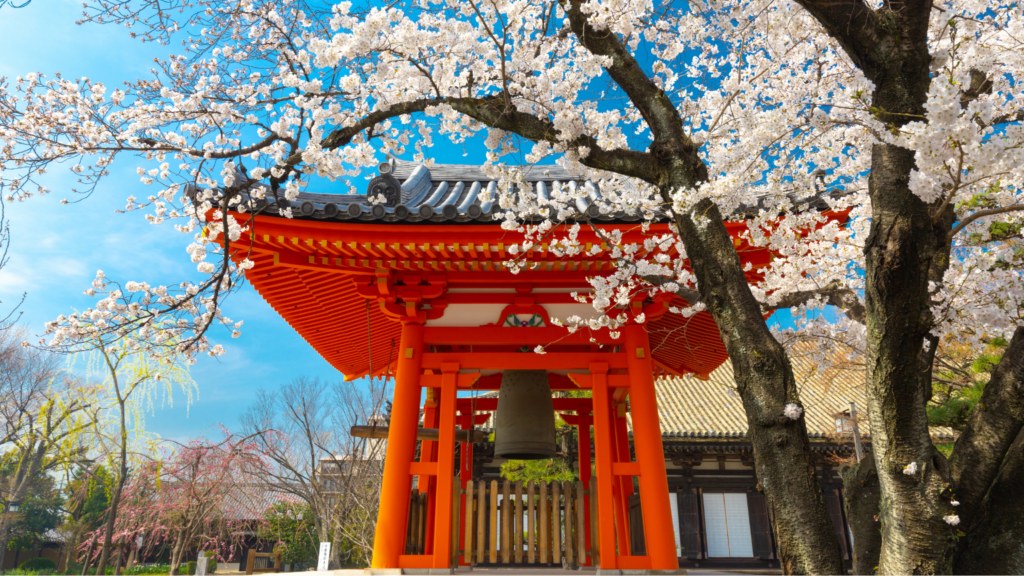 La cultura japonesa en España y su crecimiento actual